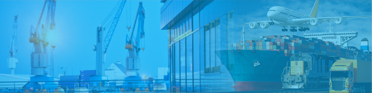 Export-Shipping Agent